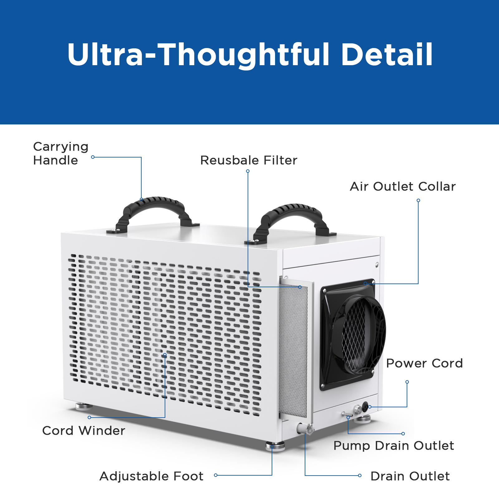 145 Pints Crawl Space Dehumidifier with Pump and Drain Hose | MOISWELL
